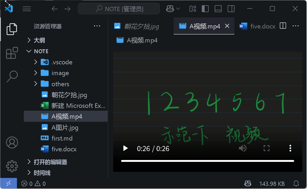 实操阶段：VScode-预览文件（图片、视频、word、pdf、excel 等）_vscode office viewer-CSDN博客