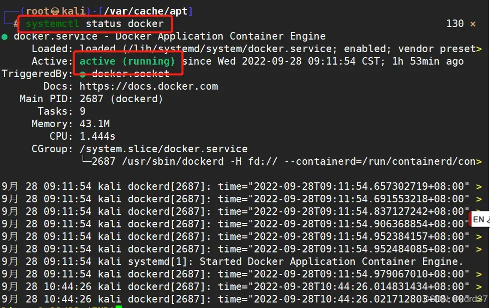 【只需一条命令】kali安装docker环境（包含使用范例）_kali docker-CSDN博客