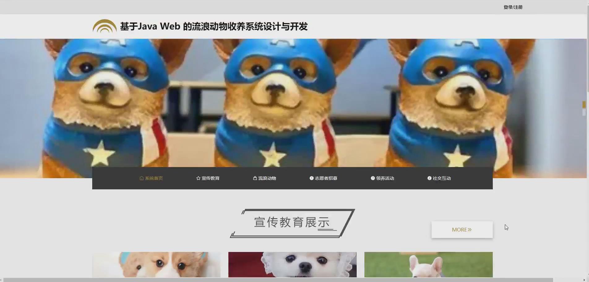 基于vue的流浪动物收养系统志愿者设计与开发_gw4frs6e_springboot php python nodejs-CSDN博客