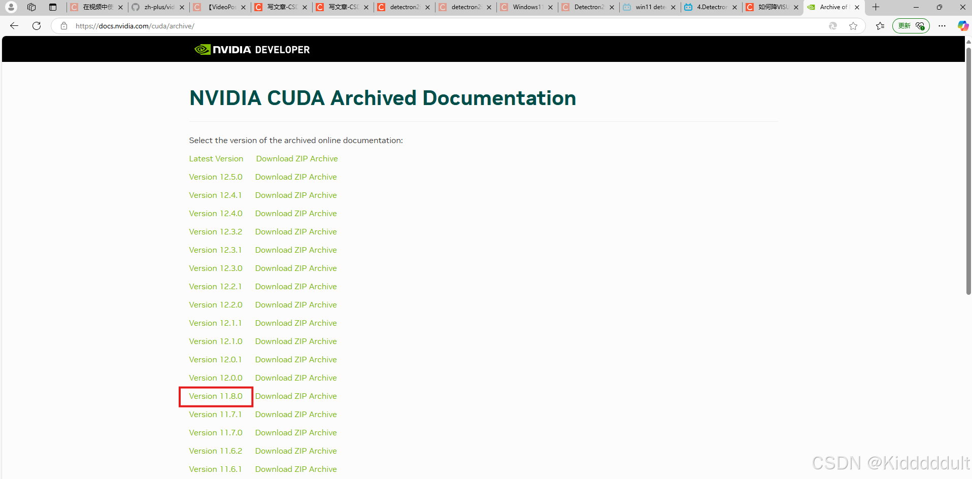 Windows 11安装部署Detectron2_安装detectron2-CSDN博客