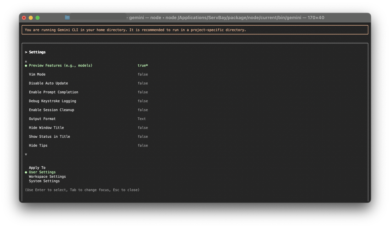 在 Gemini CLI 中使用 Gemini 3 Pro 实操指南-CSDN博客