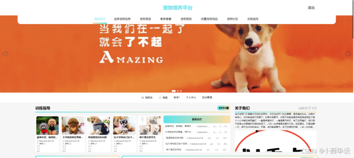 计算机毕业设计springboot宠物领养平台 基于spring Boot框架的宠物领养系统设计与实现 Spring Boot驱动下的宠物领养管理平台构建 Csdn博客