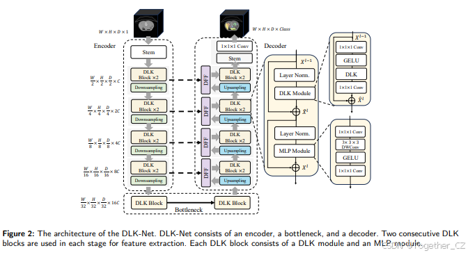 D-Net: Dynamic Large Kernel with Dynamic Feature Fusion for Volumetric Medical Image ...