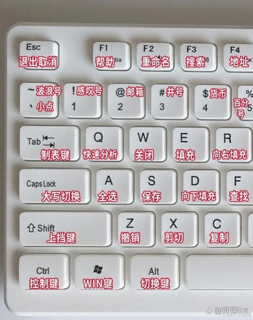 FindWindowEx函数怎么用才靠谱？新手必懂的窗口查找技巧_findwindowex怎么用-CSDN博客