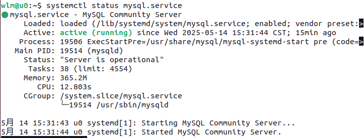 ubuntu安装web环境 _ubuntu docker php环境-CSDN博客