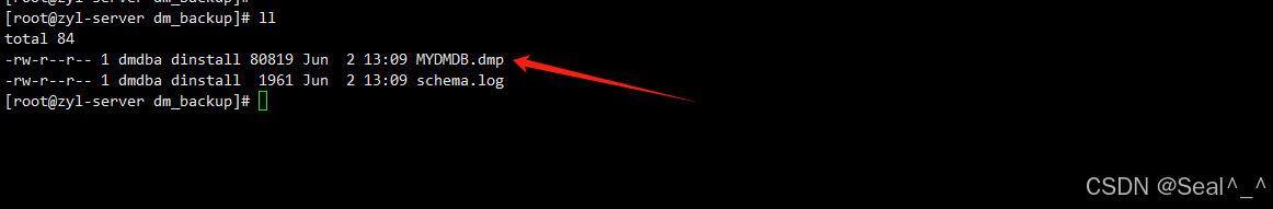 DM8数据库导入工具dimp/dimpdp详解_达梦dimpdp-CSDN博客