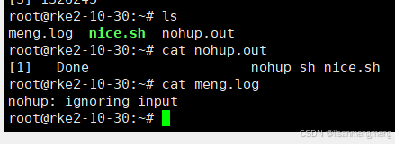 nohup 命令介绍和使用案例_nohup命令-CSDN博客
