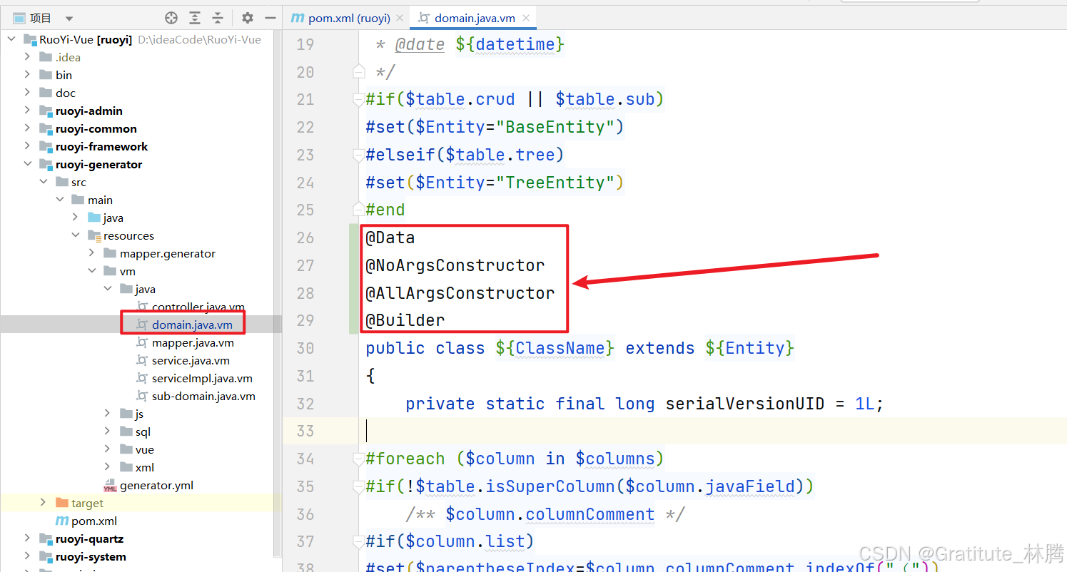 若依框架-代码生成器_lombok集成_若依集成lombok-CSDN博客