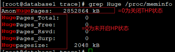 [LINUX]标准大页(HugePages)和透明大页(Transparent HugePages)详解-CSDN博客