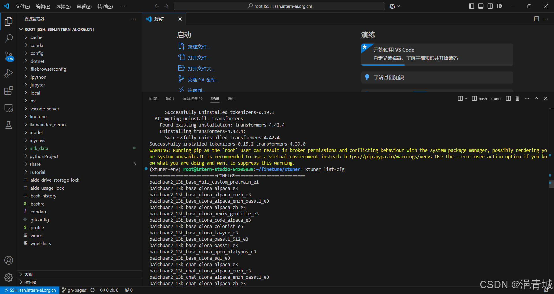 书生大模型实战营第4期——L1-XTuner-CSDN博客