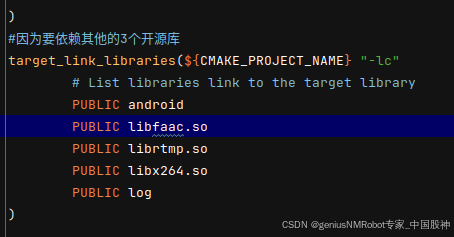 ld.lld: error: undefined symbol: __strlen_chk_ld.lld undefined symbol-CSDN博客
