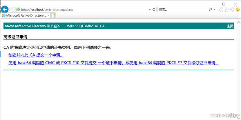 Windows11 IIS+DNS搭建ssl证书网站_win11 ssl证书-CSDN博客