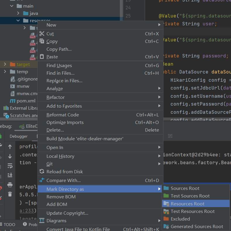 SpringBoot项目启动报错IllegalArgumentException: Could not resolve placeholder ..._nested exception is ...