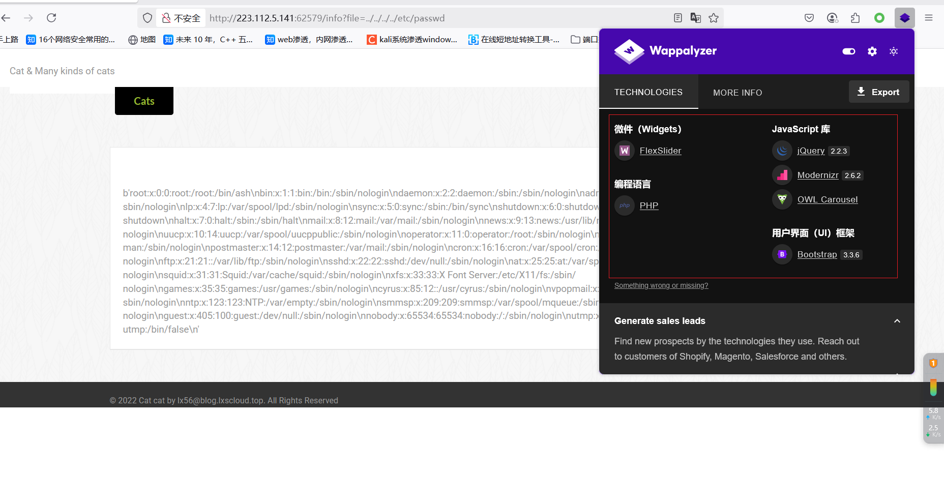 【攻防世界】 catcat-new writeup_攻防世界catcatcat-CSDN博客