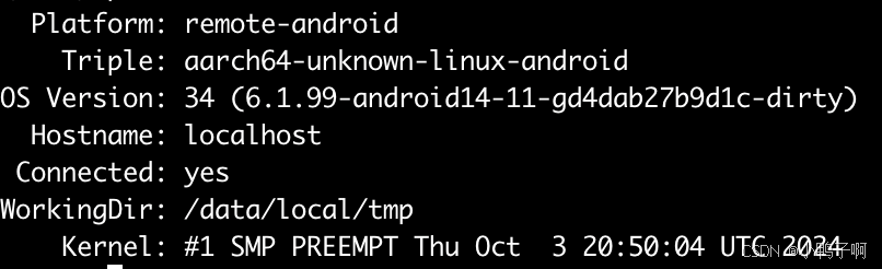 lldb调试_liblldb.so.18.1 is needed by bpftrace-CSDN博客