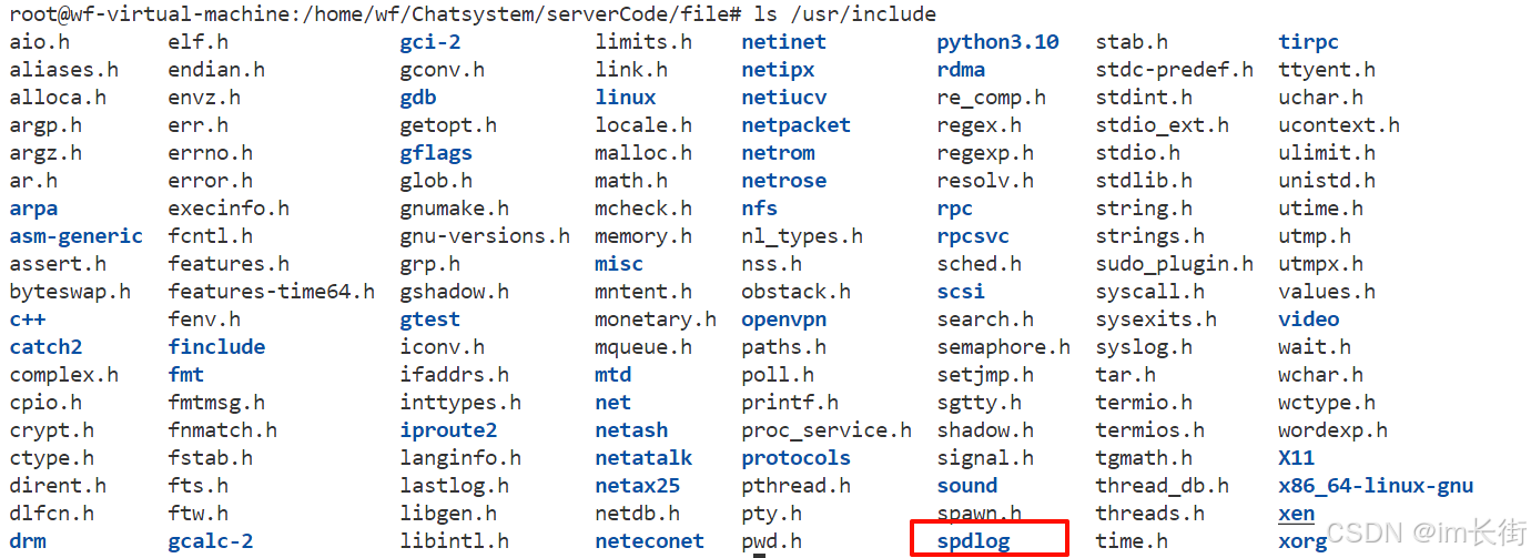 3.聊天室环境安装 - Ubuntu22.04 - spdlog的安装和使用_ubuntu spdlog-CSDN博客