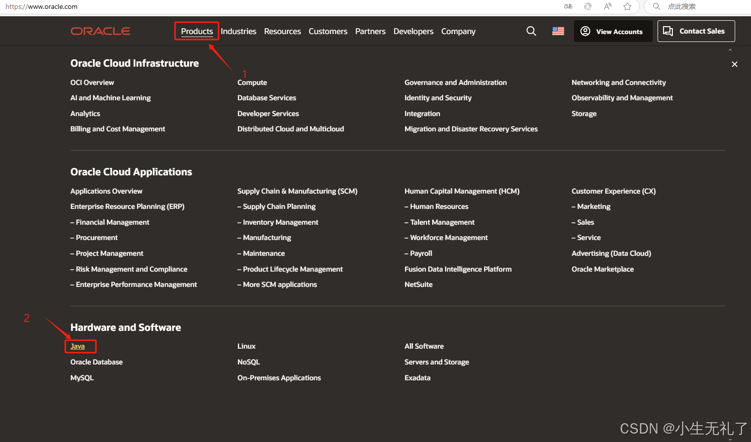 JAVA安装教程，java旧版本安装，java17安装，java环境配置，java登录下载_jre17官网下载安装包-CSDN博客