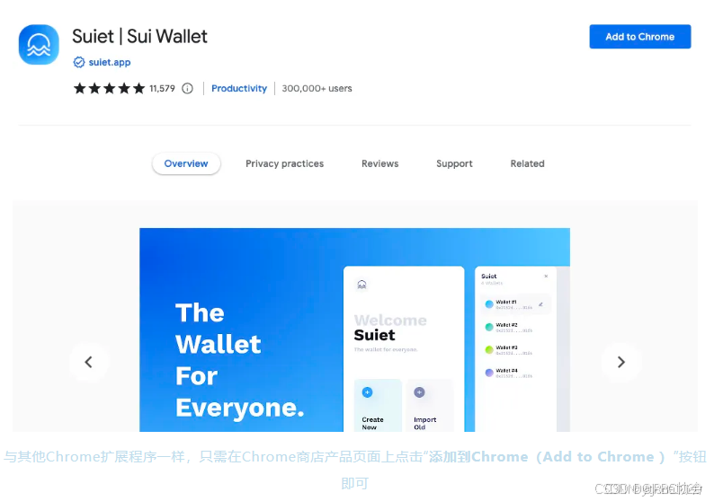 Sui学习_sui文档-CSDN博客