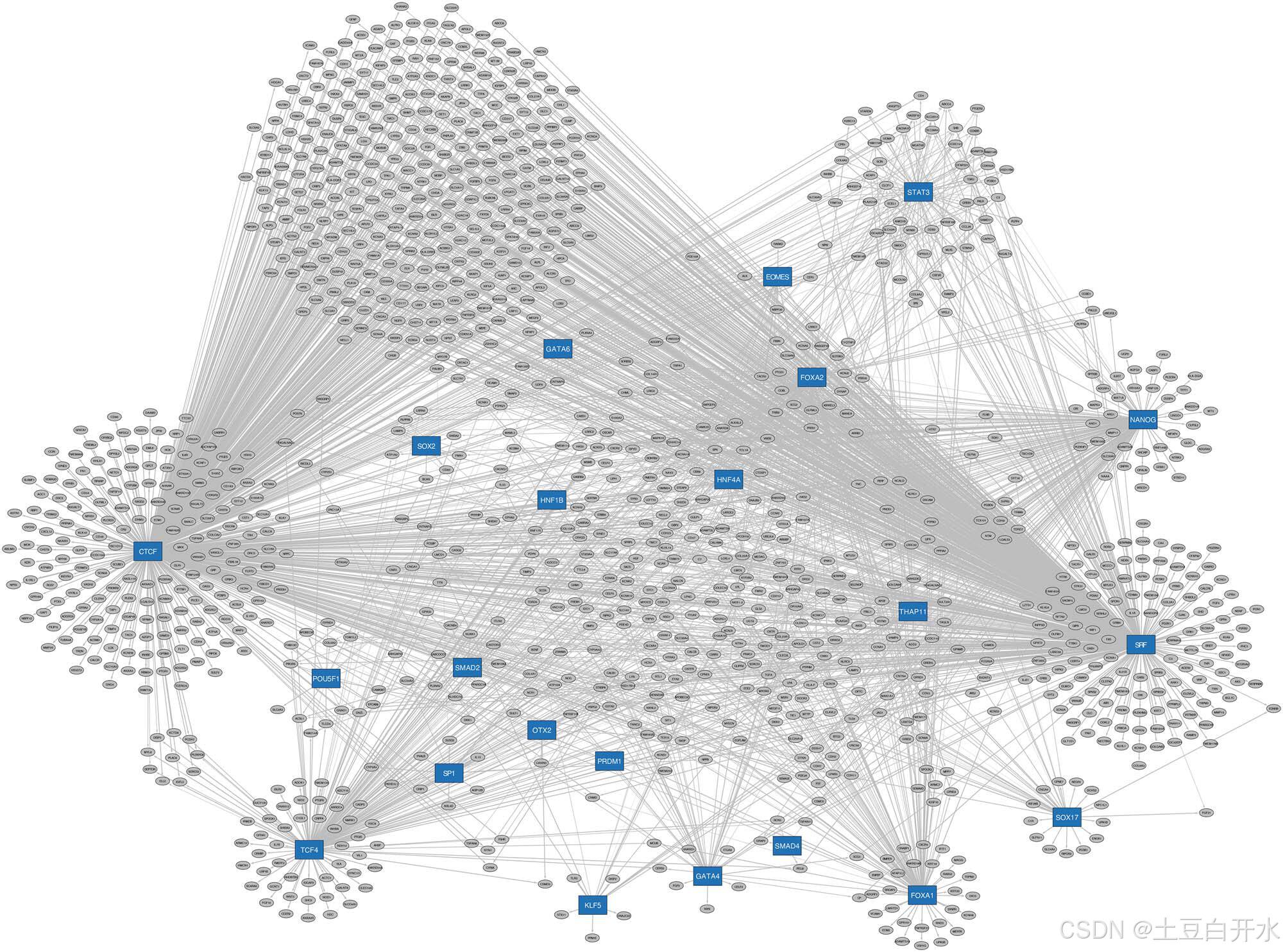 Deciphering lineage-relevant gene regulatory networks during endoderm ...