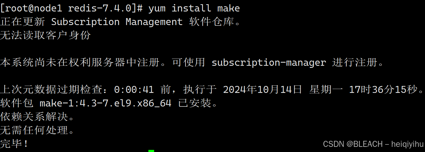 红帽9—Redis安装过程_redhat安装redis-CSDN博客