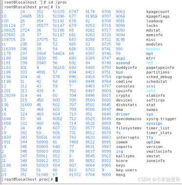 Linux操作系统实验报告单（9）Proc文件系统-CSDN博客