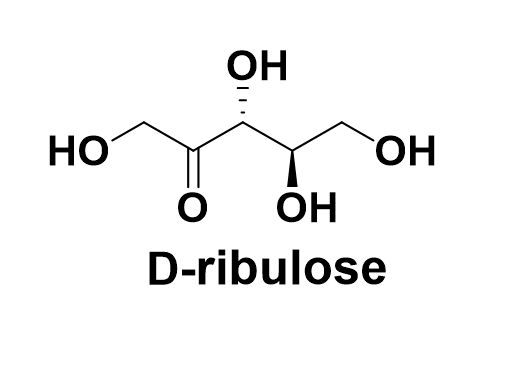 cas：488-84-6，D-ribulose，D-核酮糖的化学性质与结构_lobry de bruyn–van ekenstein重排-CSDN博客