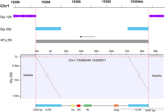 甘草属基因组着丝粒的进化--文献精读171-CSDN博客