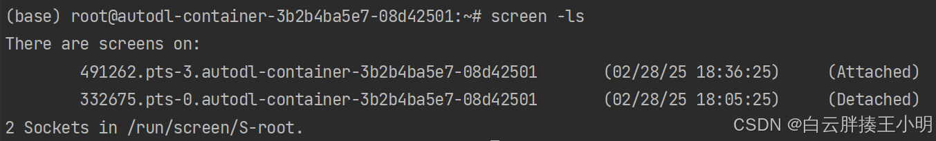 当我在AutoDL(SSH)跑模型时，如何用screen来守护进程，防止因断网导致程序终止_screen守护进程-CSDN博客