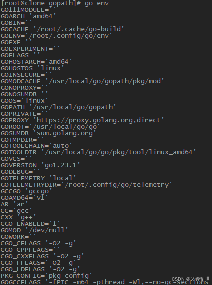 Golang语言环境安装_go env安装成功-CSDN博客