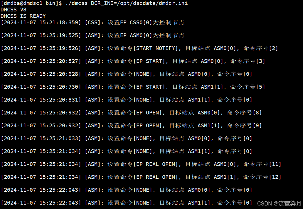 DMdsc集群安装部署_dmdsc安装-CSDN博客