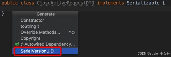 IntelliJ IDEA 中自动生成 serialVersionUID 的方法_idea自动生成serialversionuid-CSDN博客