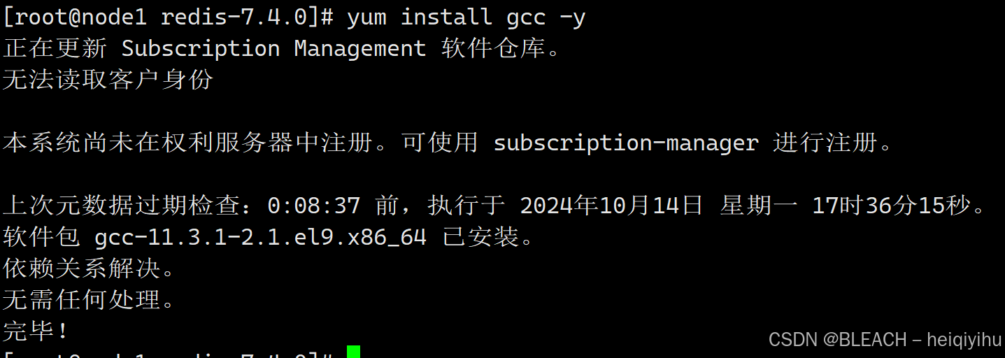 红帽9—Redis安装过程_redhat安装redis-CSDN博客
