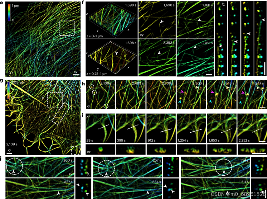 细胞成像的超级“放大镜”——4Pi-SIM_3d-sim ppt-CSDN博客