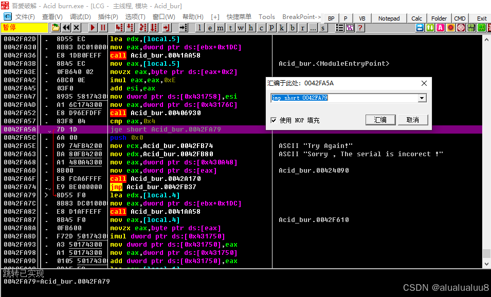 逆向工程Acid burn_acid burn 逆向-CSDN博客