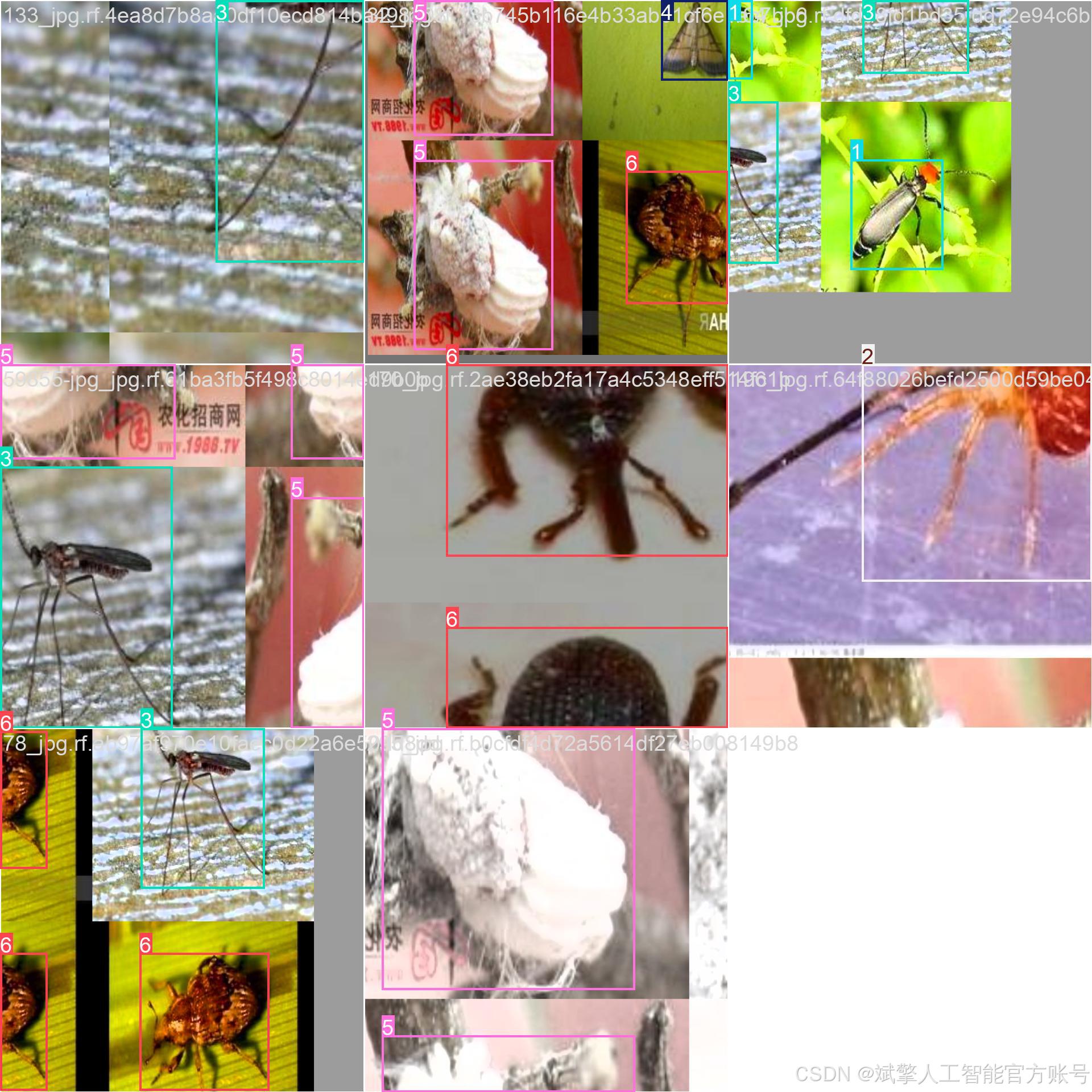 基于深度学习YOLOv11的昆虫识别检测系统（YOLOv11+YOLO数据集+UI界面+登录注册界面+Python项目源码+模型）-CSDN博客