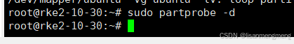partprobe 命令介绍和使用案例-CSDN博客