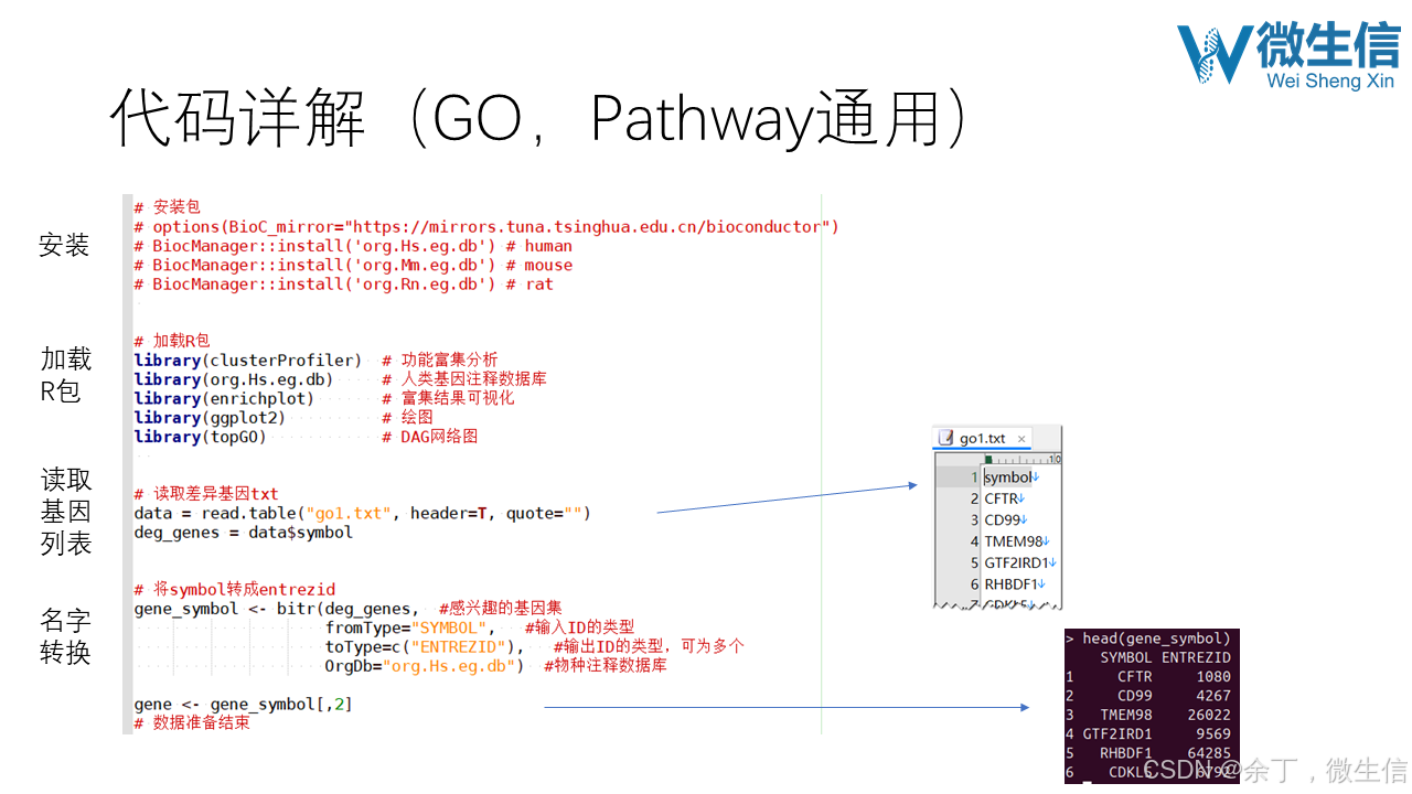 生信入门第十课：Clusterprofiler GO和KEGG富集分析R代码详解_生信go分析和kegg分析代码-CSDN博客