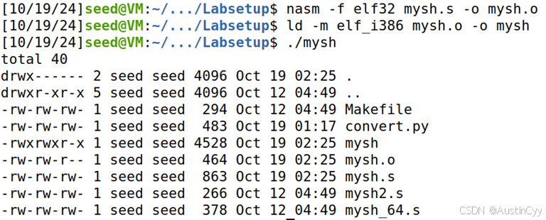 【Seed-Labs 2.0】Shellcode Development Lab-CSDN博客
