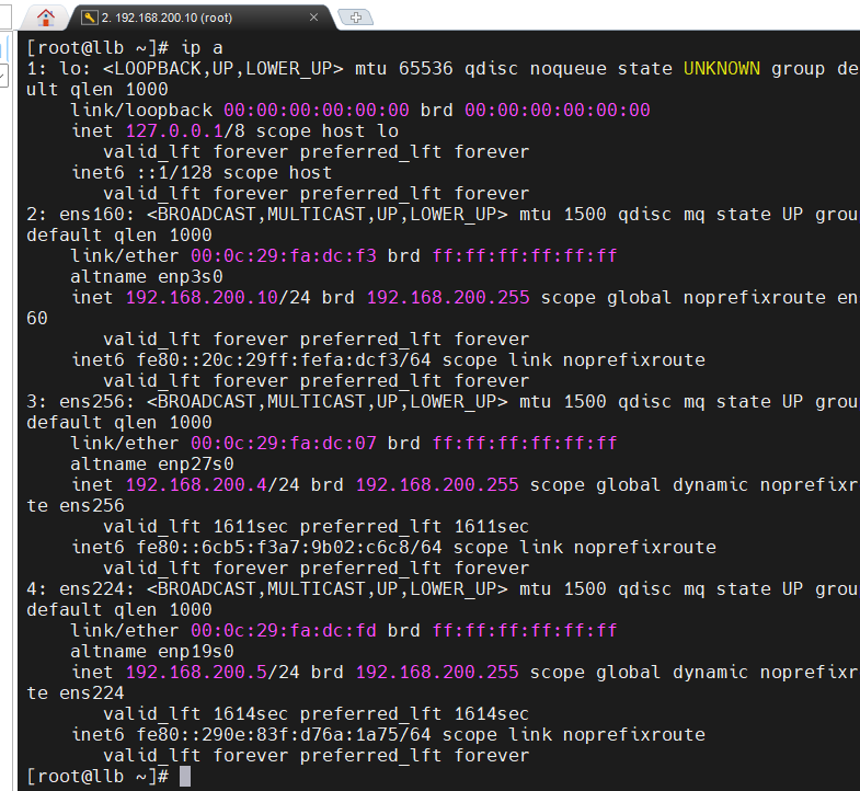 一.配置ssh实现A，B主机互相免密登录 二.配置nginx服务，通过多ip区分多网站-CSDN博客