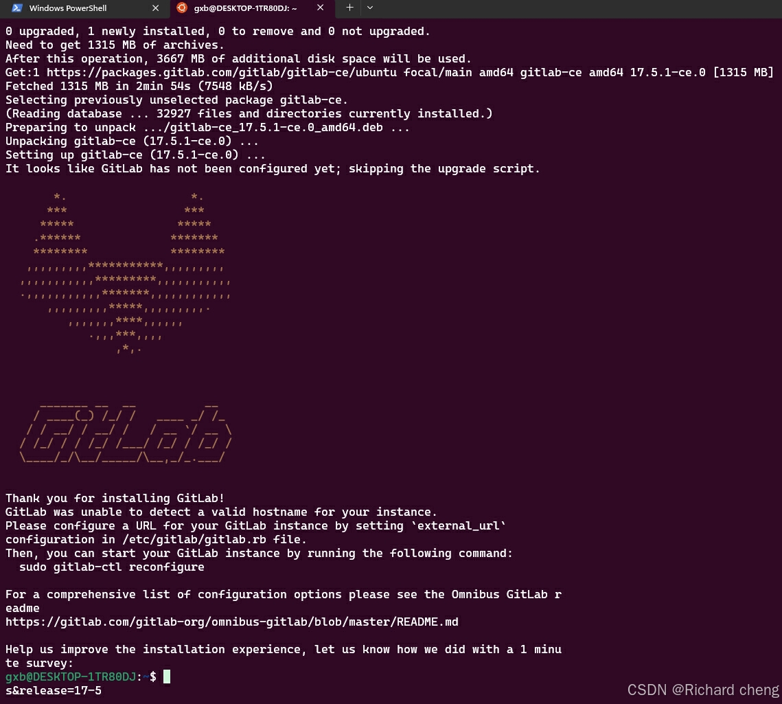 Windows11中使用WSL2-Ubuntu部署Gitlab并运行以及遇到问题记录_wsl 安装gitlab-CSDN博客