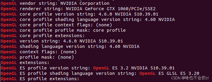 使用docker镜像（osrf/ros:melodic-desktop-full）运行HKUST-Aerial-Robotics / Fast ...