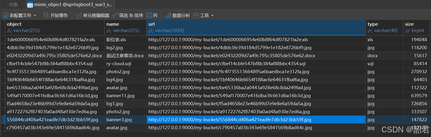 SpringBoot 3 项目集成 MinIO_springboot3 minio-CSDN博客