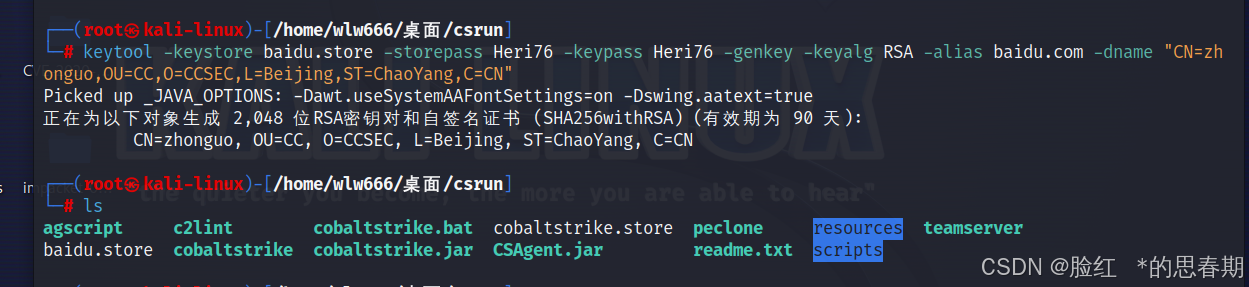 魔改CS—流量特征消除&暗桩去除&个性化修改&Stager修改_cs魔改-CSDN博客
