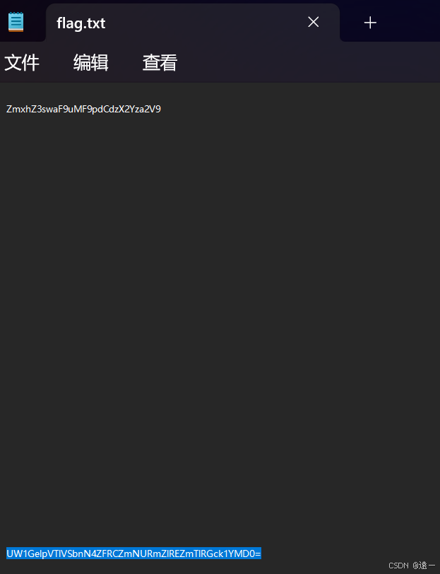 BaseCTF2024复现_misc_week1_base32后base64解码获得flag-CSDN博客