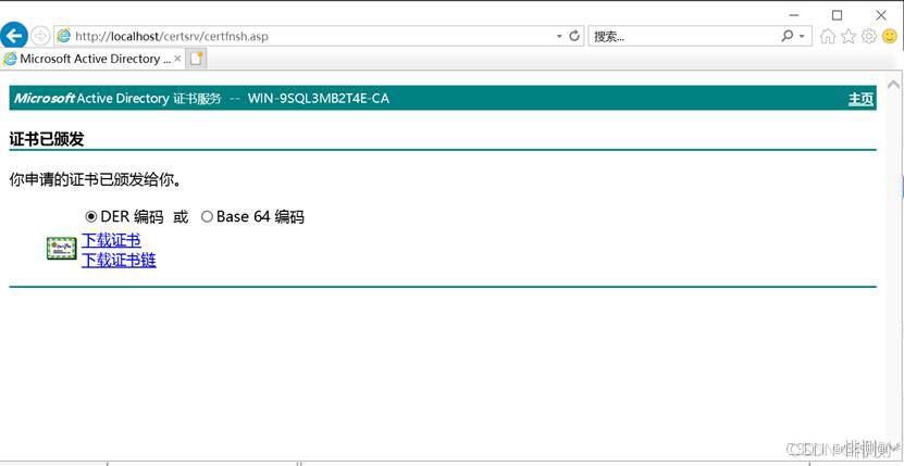 Windows11 IIS+DNS搭建ssl证书网站_win11 ssl证书-CSDN博客