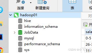 Hadoop集群搭建之 Sqoop数据迁移_安装与配置sqoop,并进行数据迁移。hadoop分布式集群;链接虚拟机软件;hive;sqoop。-CSDN博客