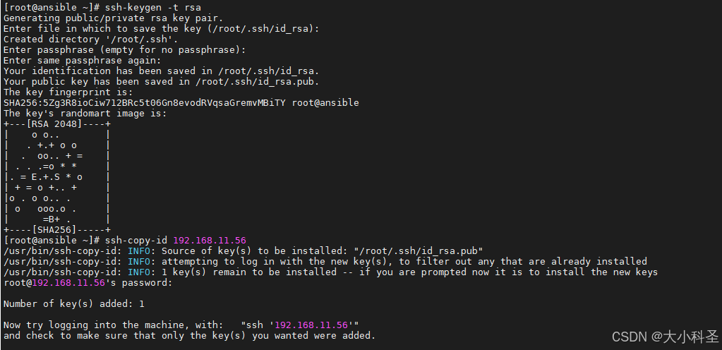 centos7部署自动化运维ansible_centos7 ansible-CSDN博客