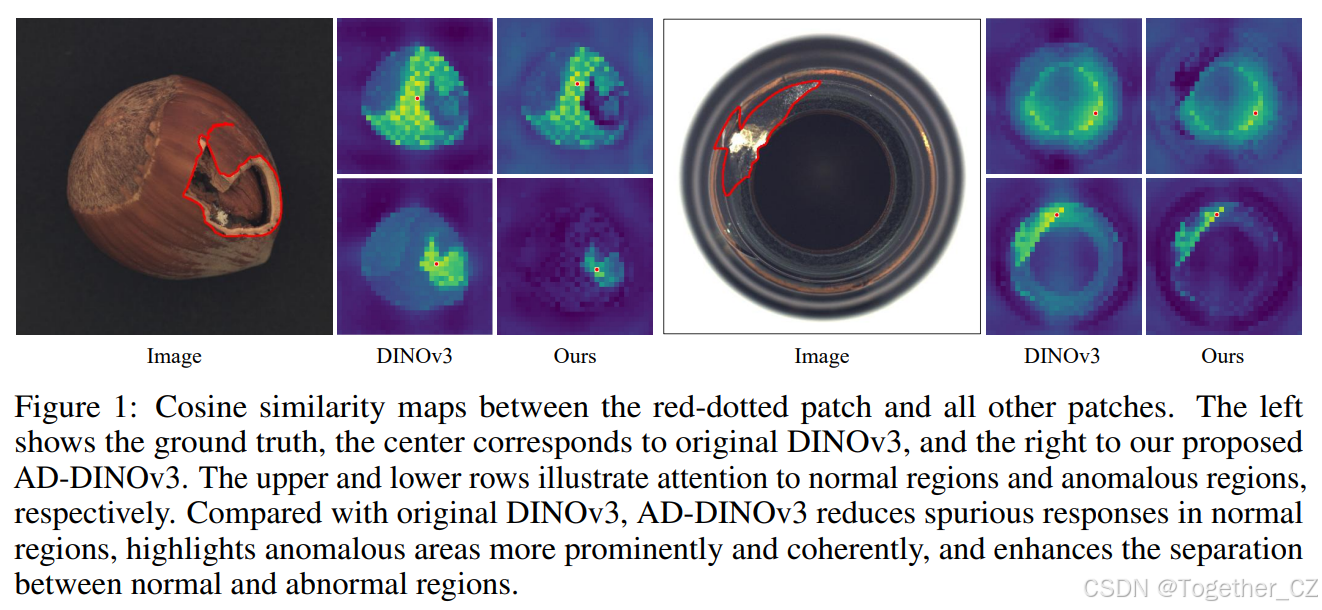 AD-DINOv3: Enhancing DINOv3 for Zero-Shot Anomaly Detection with ...