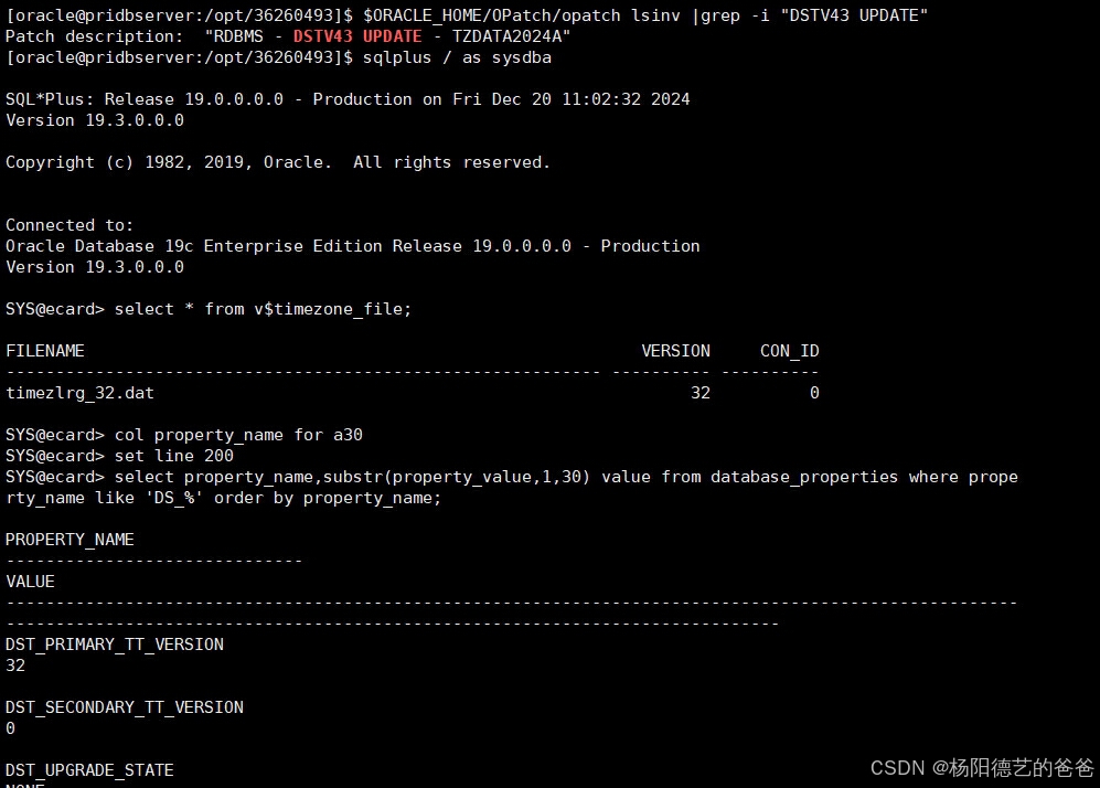 【ORACL 19C 时区版本升级DSTV32-DSTV43（ORA-39405）】_43补丁-CSDN博客