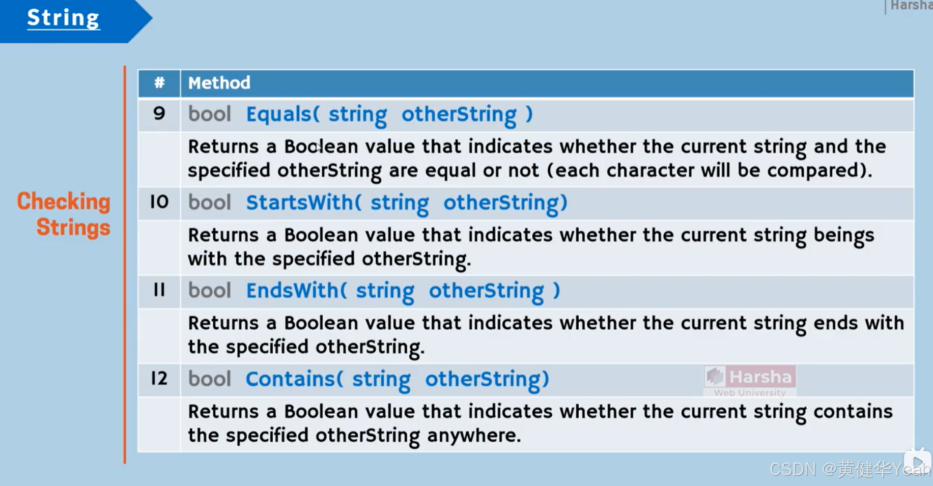 217 Checking Strings 02-CSDN博客